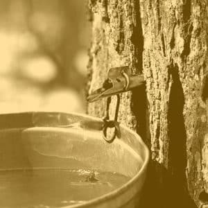 How it is Made - Hillegas Sugar Camp